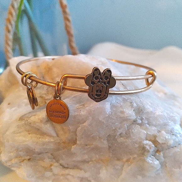 Alex and Ani | Jewelry | Disney Parks Alex And Ani Minnie Mouseicon ...